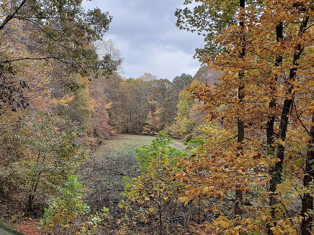 Workman Cemetery Rd, Dukedom, TN 38226 | Zillow