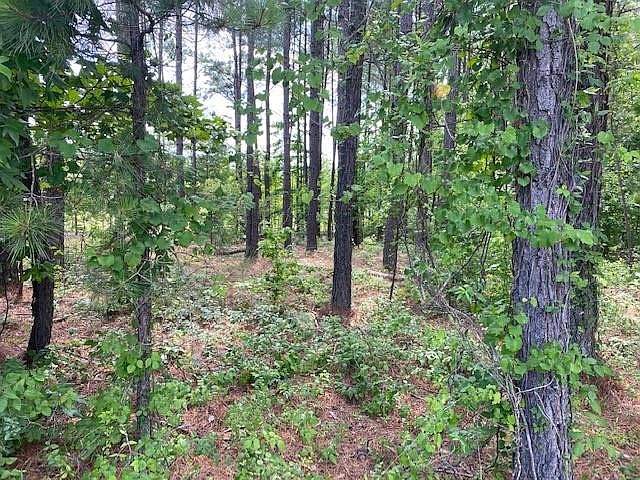 0 Luckeys Bridge Rd, Dearing, GA 30808 | Zillow