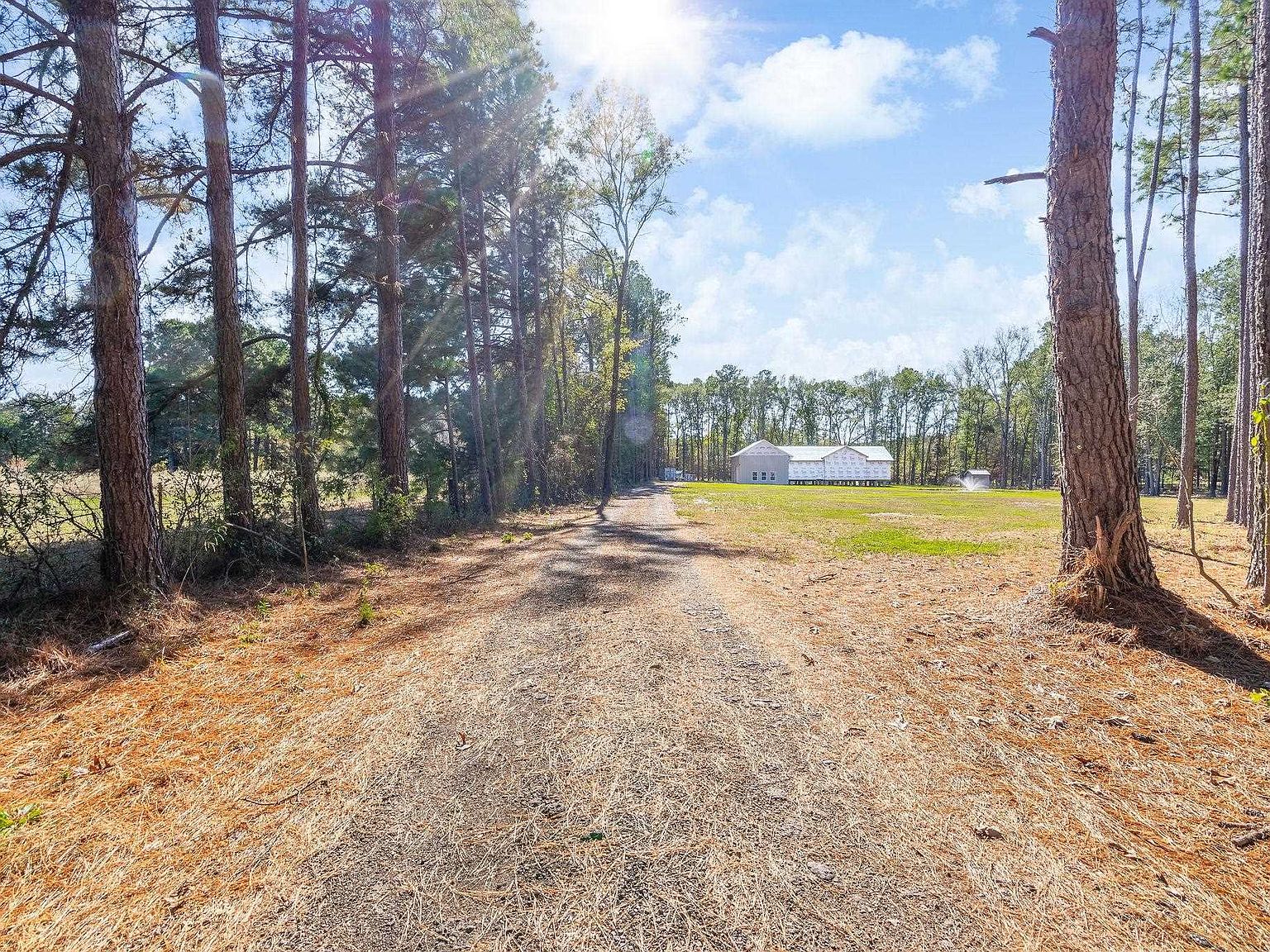995 Old Coffeeville Rd, Lone Star, TX 75668 | Zillow