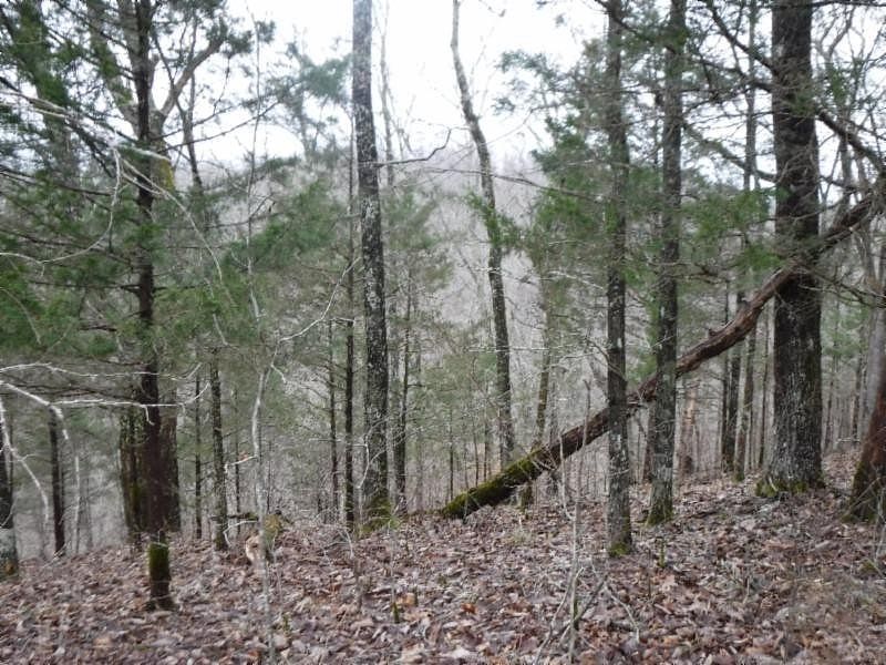 5 Backwoods Trails Ln, Celina, TN 38551 | MLS #2459302 | Zillow