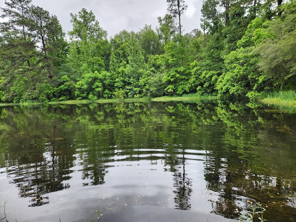 251 Saint Paul Rd, Sandy Hook, MS 39478 | MLS #144581 | Zillow