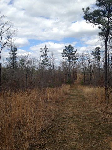 0 Charlie Reeves Rd, Roberta, GA 31078 | Zillow