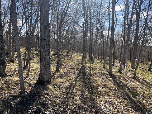 Wilderness Pkwy, Crosslake, MN 56442 | MLS #7063503 | Zillow