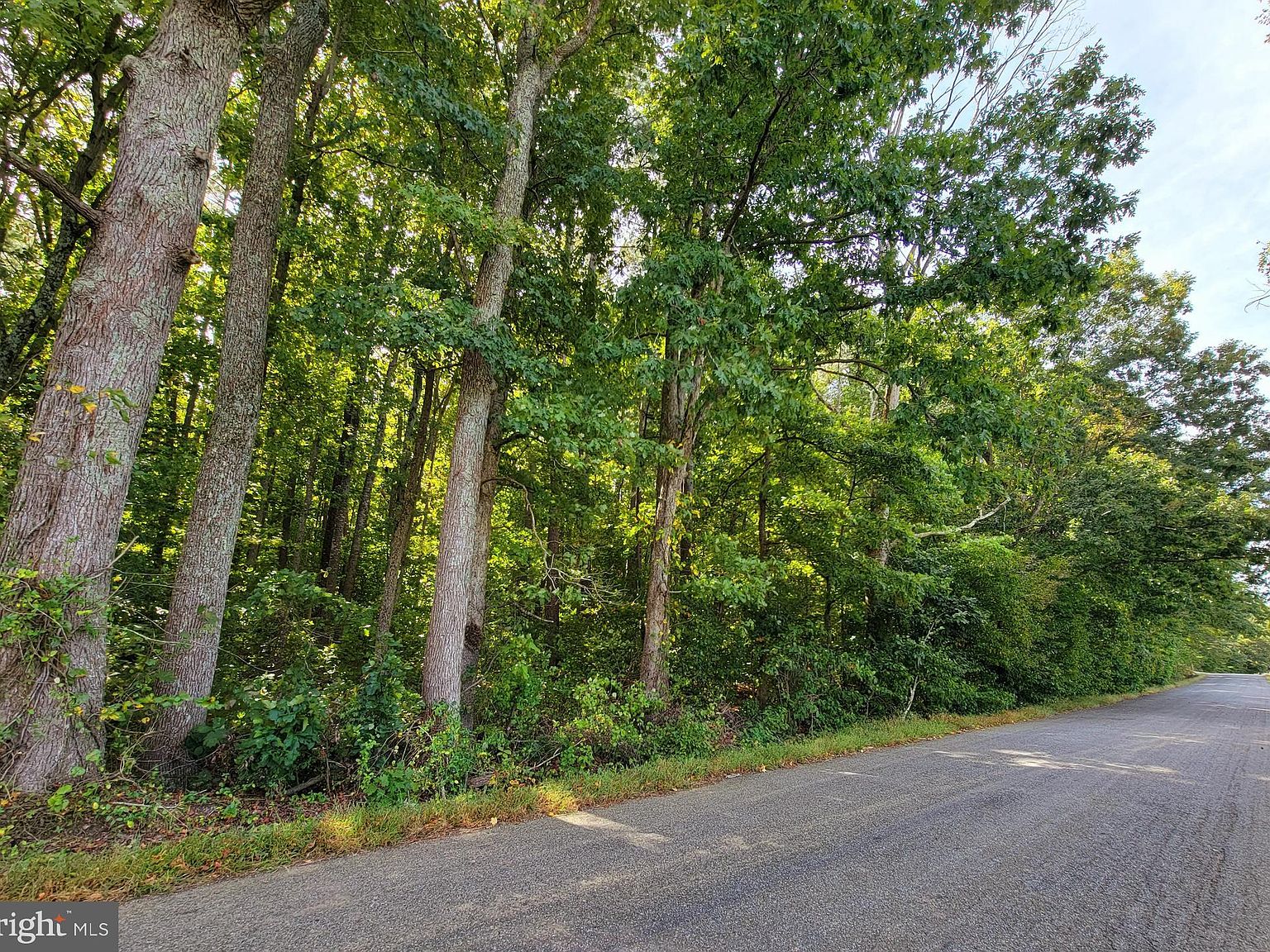 10910 Edenton Rd, Partlow, VA 22534 | Zillow