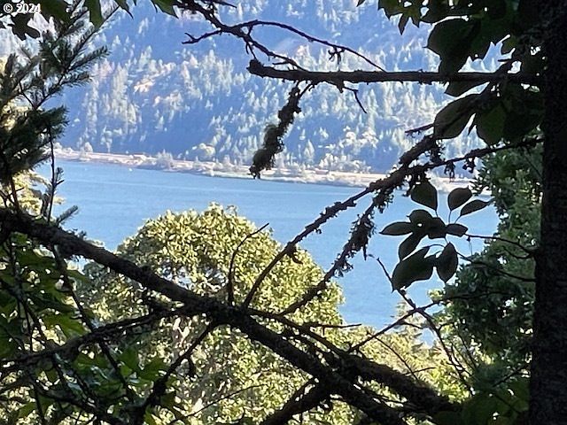 155 NW Academy St, White Salmon, WA 98672 | MLS #24100665 | Zillow