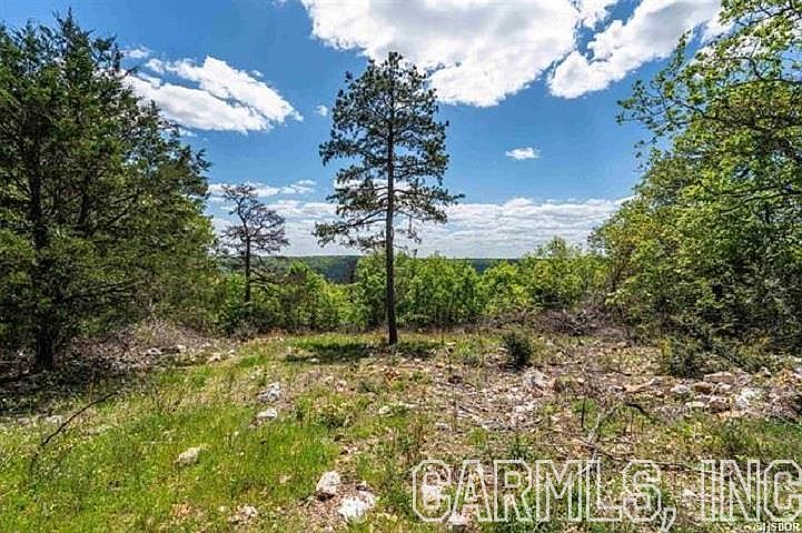 0 Mt Riante Rd, Hot Springs, AR 71913 | MLS #23017606 | Zillow