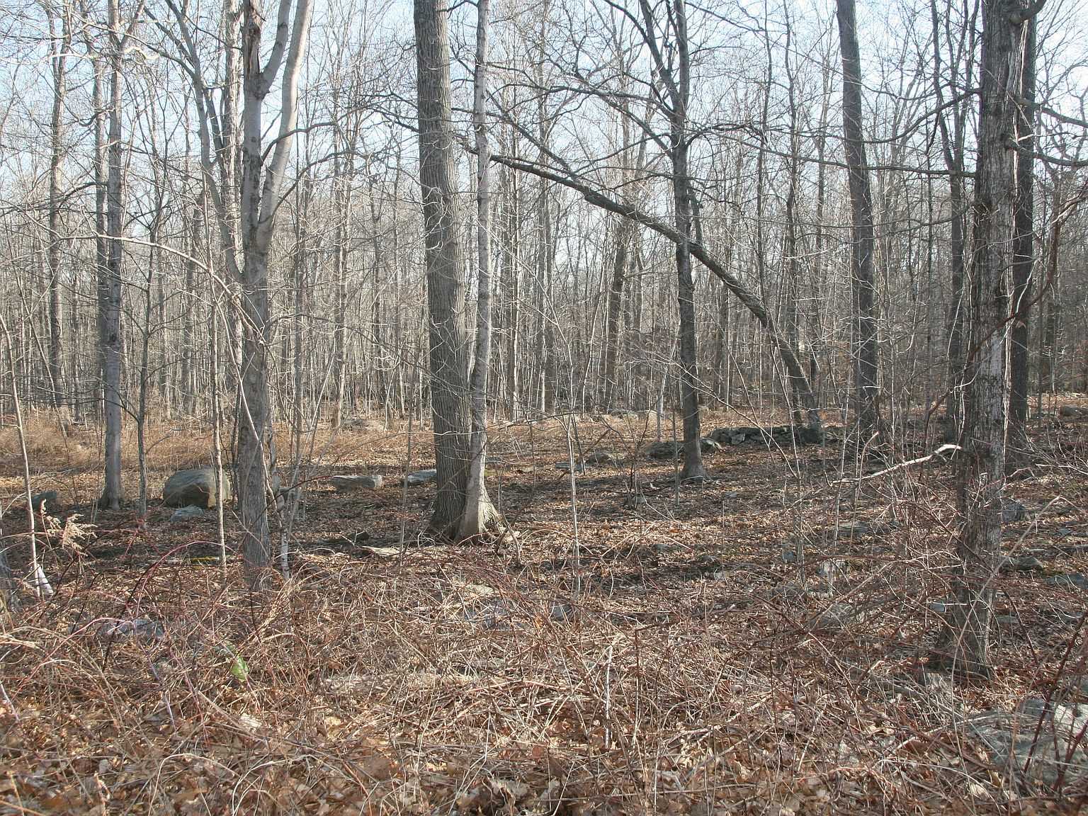 Beacon Hill Drive, Storrs Mansfield, CT 06268 | MLS #24080249 | Zillow