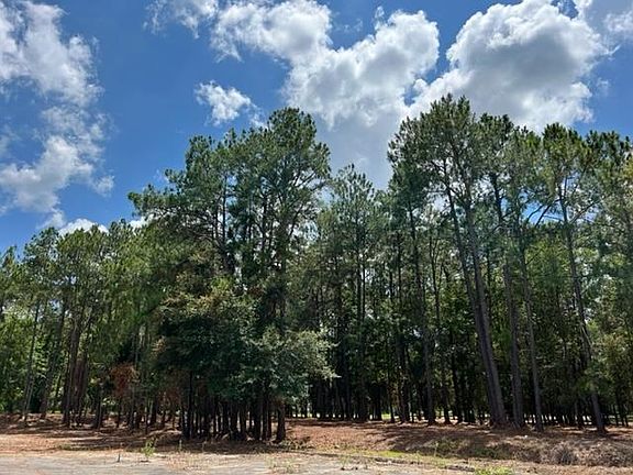 56 Chula Brookfield Rd, Chula, GA 31733 | MLS #135431 | Zillow