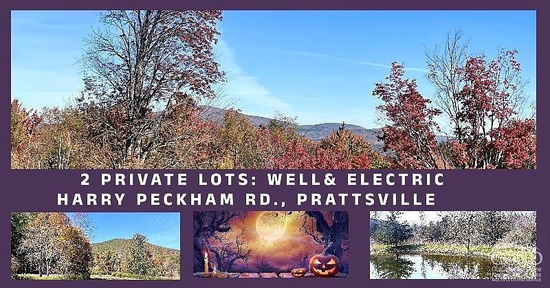 167 Harry Peckham, Windham, NY 12496 | MLS #154839 | Zillow