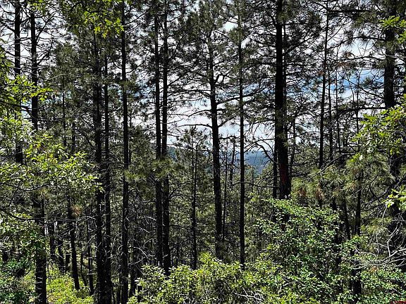 282 Blue Ridge Circle, Bayfield, CO 81122 | MLS #818247 | Zillow