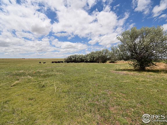 19944 County Road M, Woodrow, CO 80757 | MLS #1012131 | Zillow