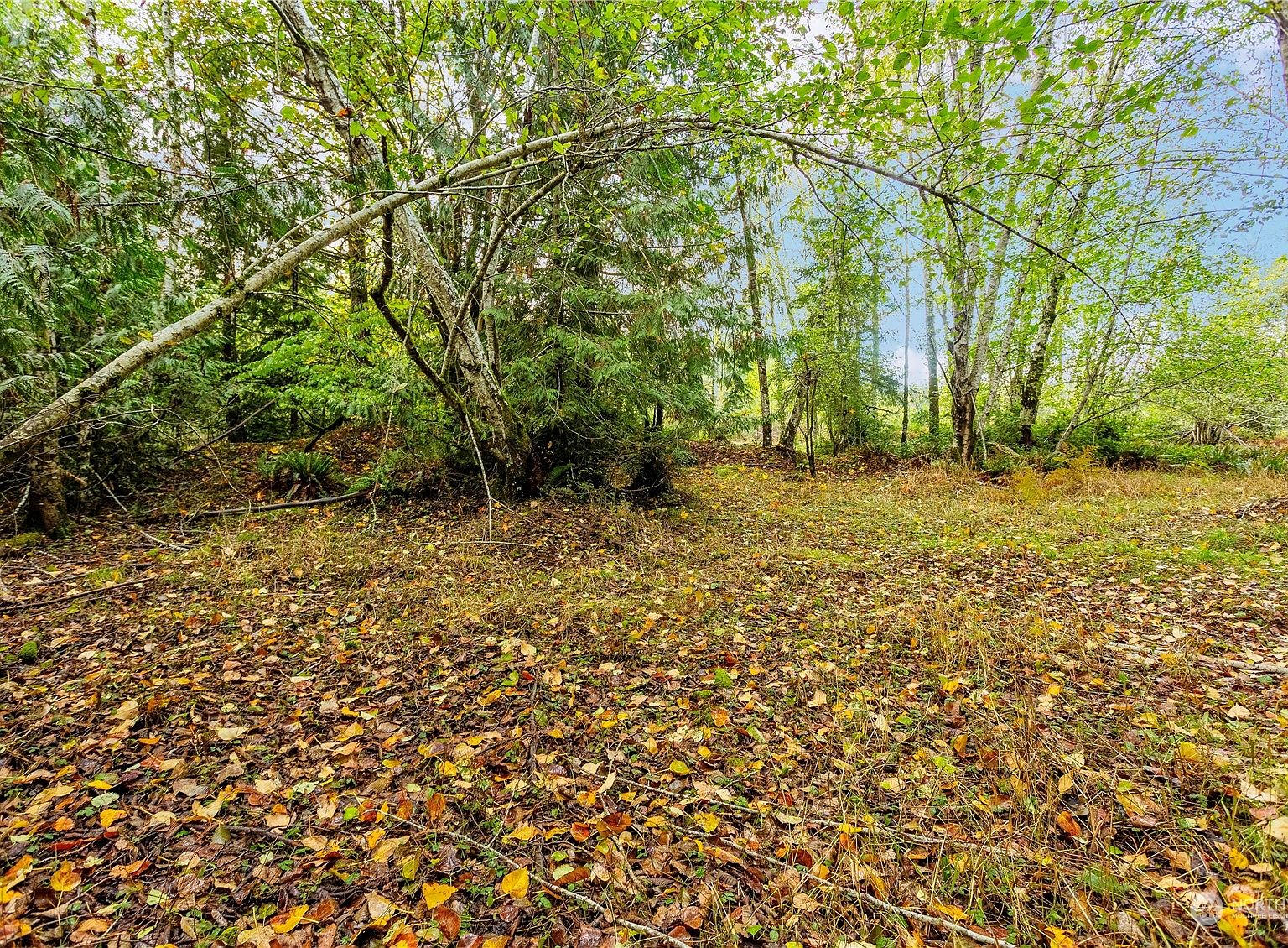 3 Jared Road, Shelton, WA 98584 | Zillow