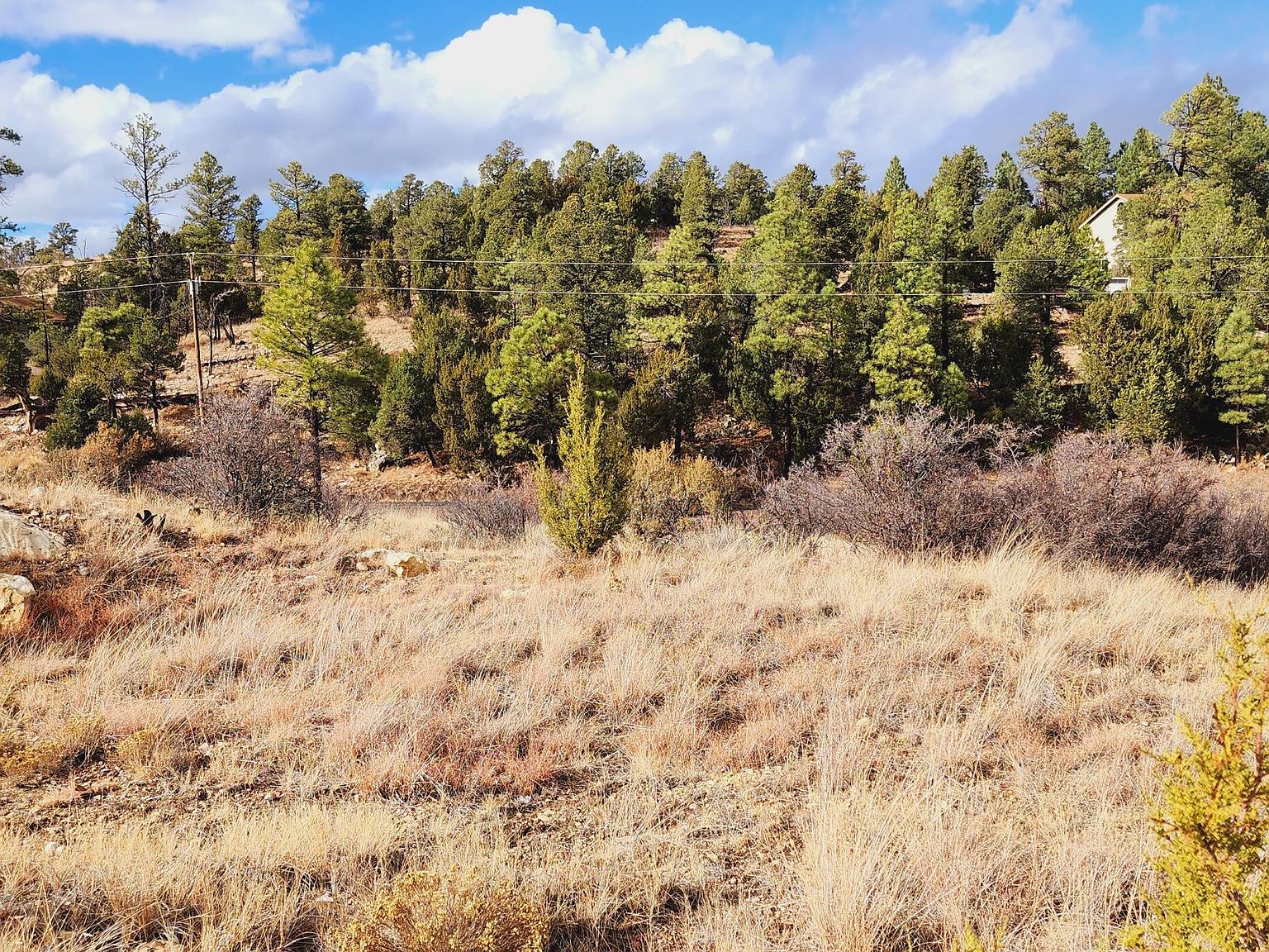 1849 Pine Cone Rd #59, Heber, AZ 85928 | MLS #6639972 | Zillow