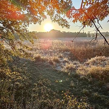 Four Sw 4 And Nw 4 Sw 4 Se 4, Geff, IL 62842 | Zillow