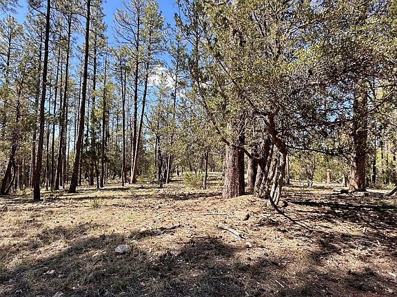 LOT 44 S Diamond Point, Payson, AZ 85541 | MLS #6814630 | Zillow