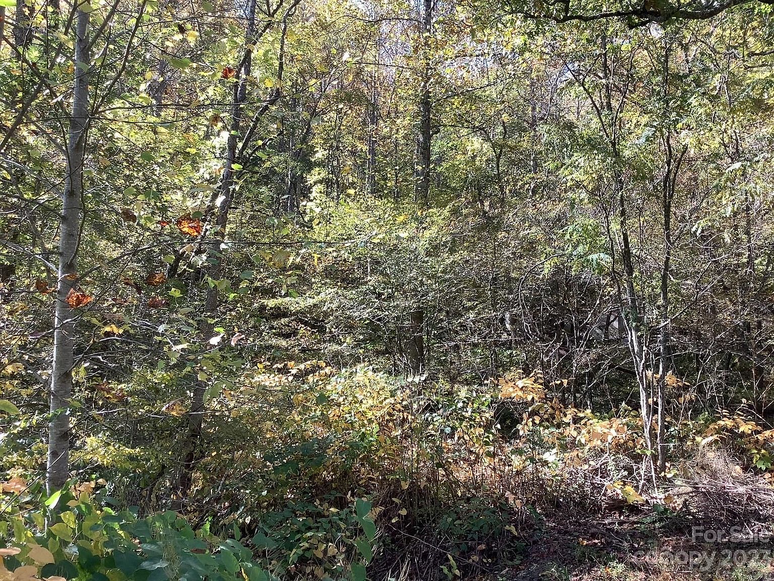 0 E Sprinkle Branch Rd W, Marshall, NC 28753 | Zillow