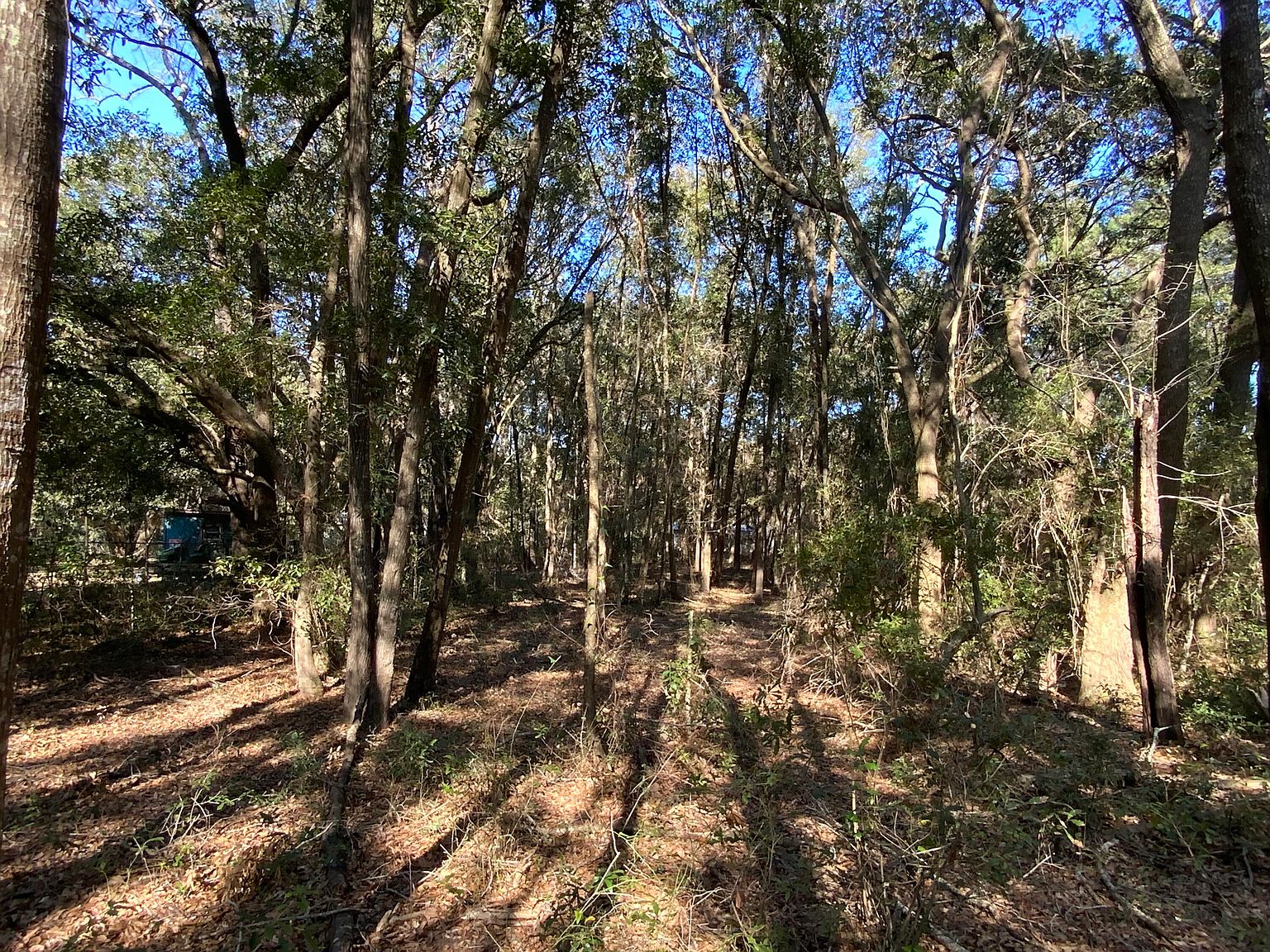 29 Capers Island Cir, Saint Helena Island, SC 29920 | MLS #24004557 ...