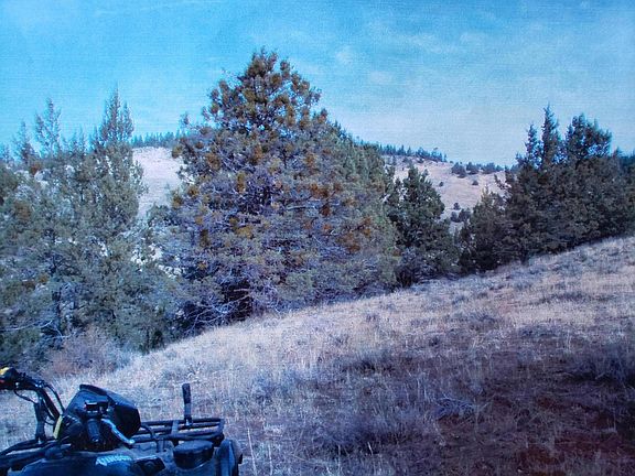 0 Lookout Rd, Lookout, CA 96054 | MLS #24-72 | Zillow