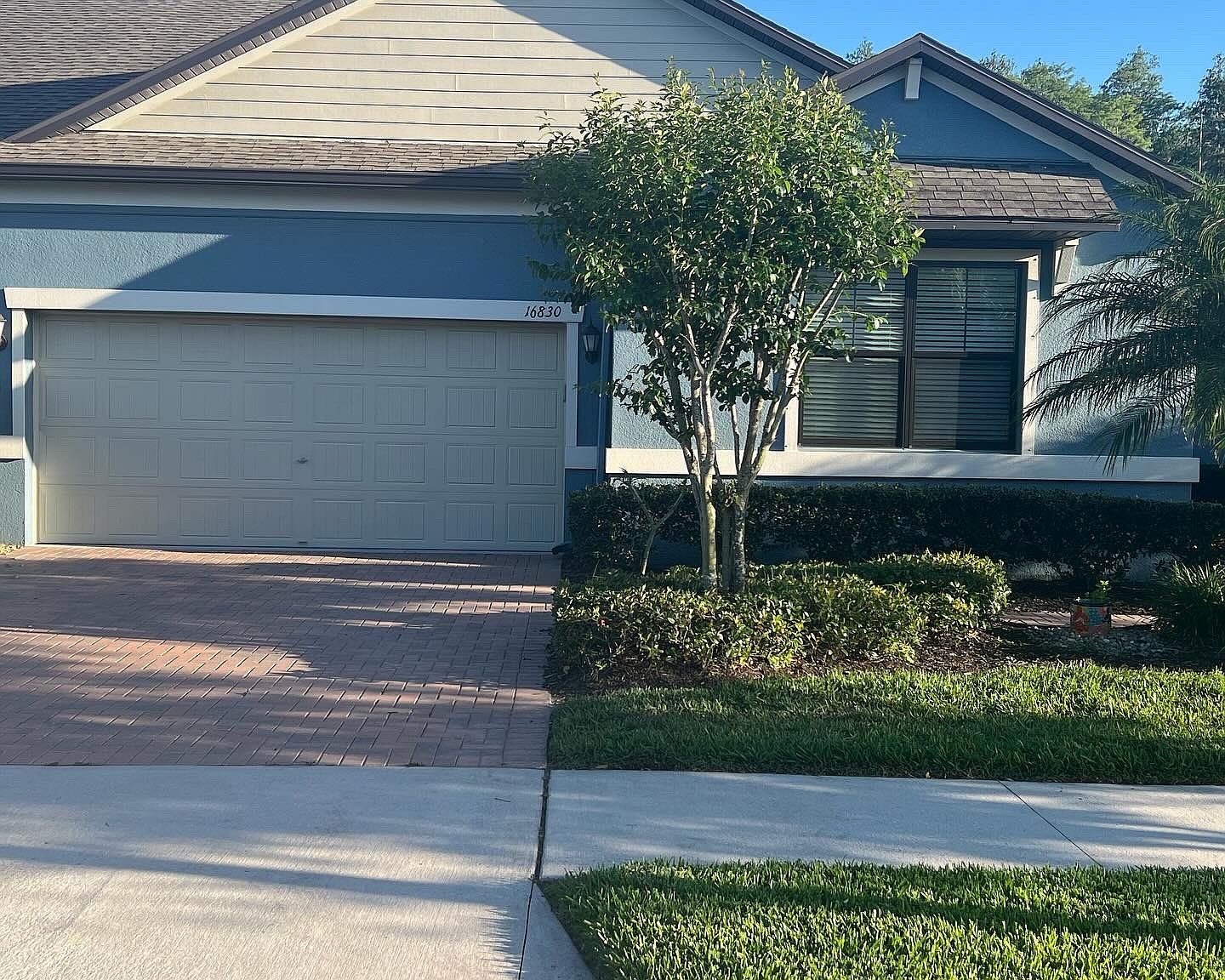 16830 Balance Cv #13506, Land O Lakes, FL 34638 | Zillow