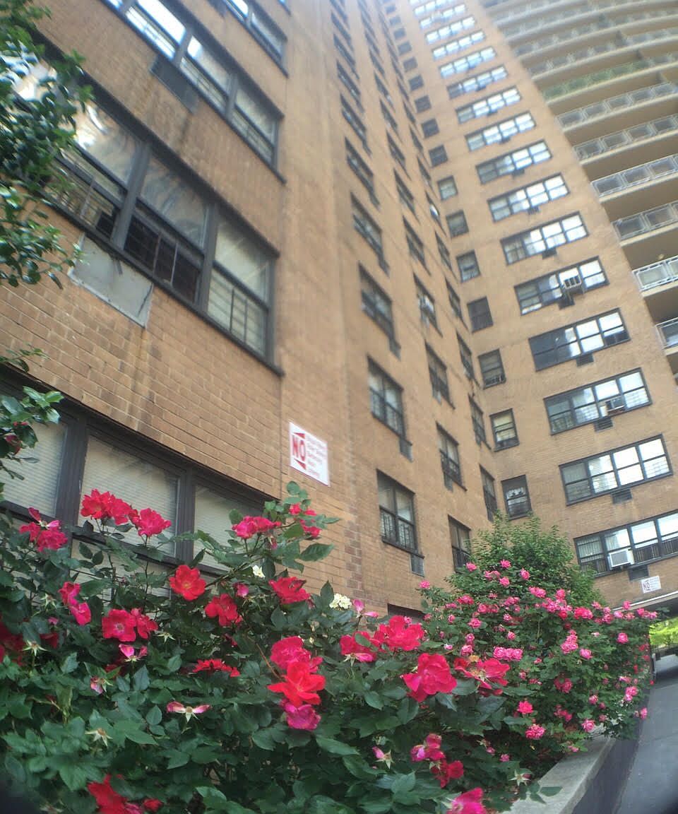 77 Sullivan Pl APT 1B, Brooklyn, NY 11225 | Zillow