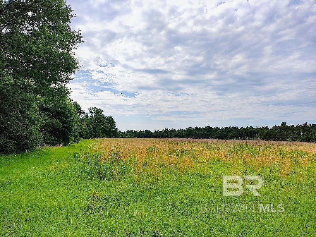 0 County Road 69, Coffeeville, AL 36524 | MLS #364403 | Zillow