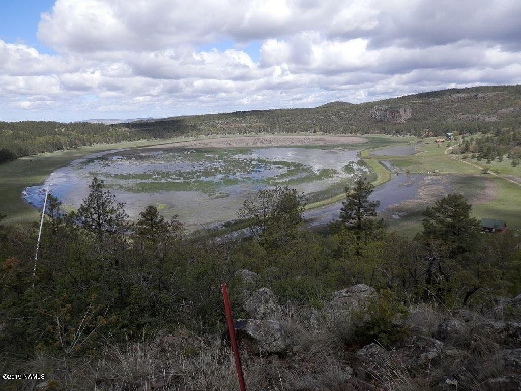 125 Lakeview Ct, Mormon Lake, AZ 86038 | Zillow