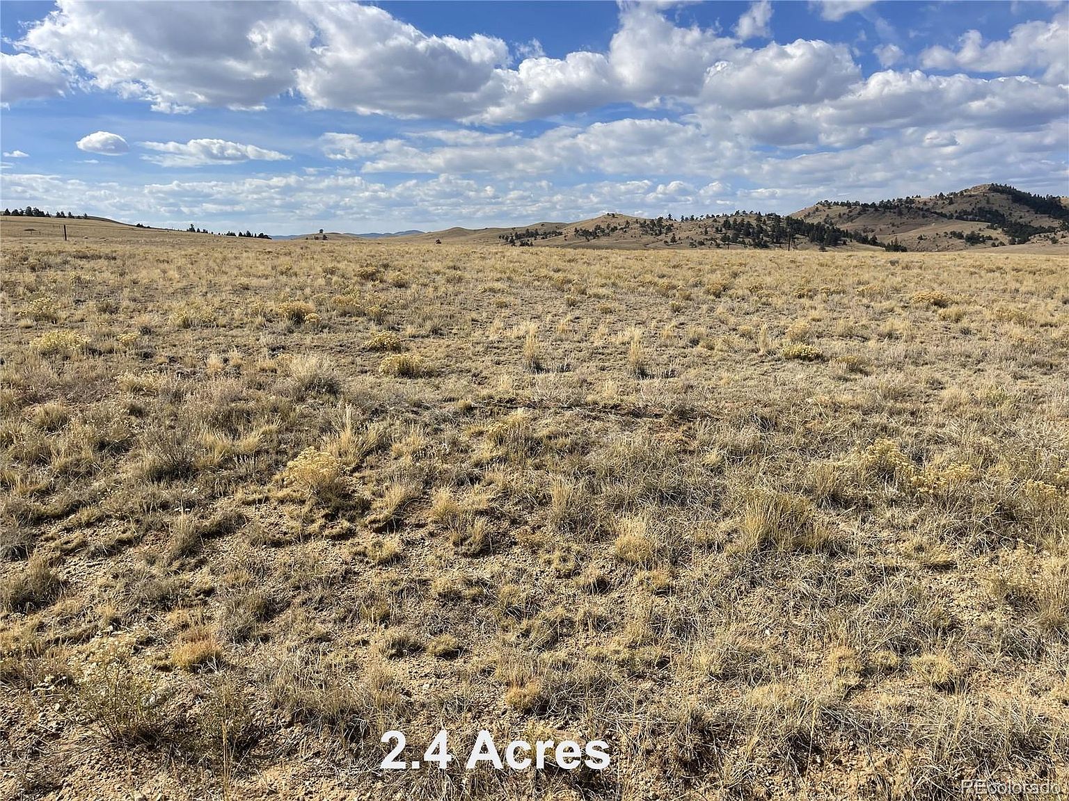 14461 Chickasaw Road, Hartsel, CO 80449 | MLS #2351875 | Zillow