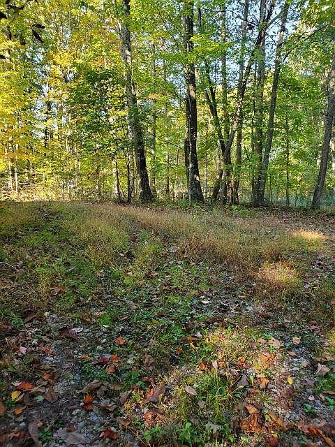 383 Springdale Rd, Lizemores, WV 25125 | MLS #24-666 | Zillow