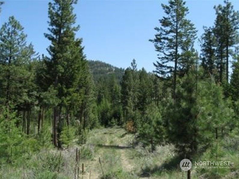 597 J H Green Road, Riverside, WA 98849 | Zillow