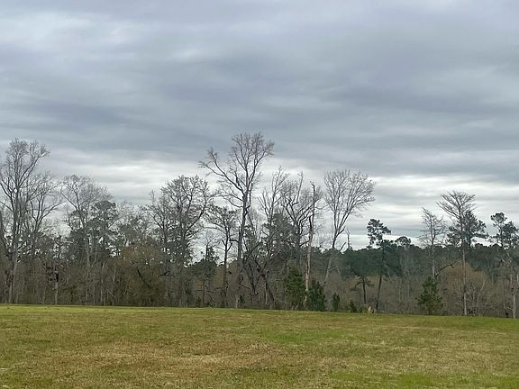 TBD Gulley Ln., Salters, SC 29590 | MLS #2405861 | Zillow