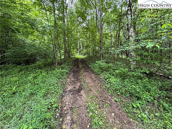 19.62 Acres Robert Sluder Lane, Newland, NC 28657 | Zillow