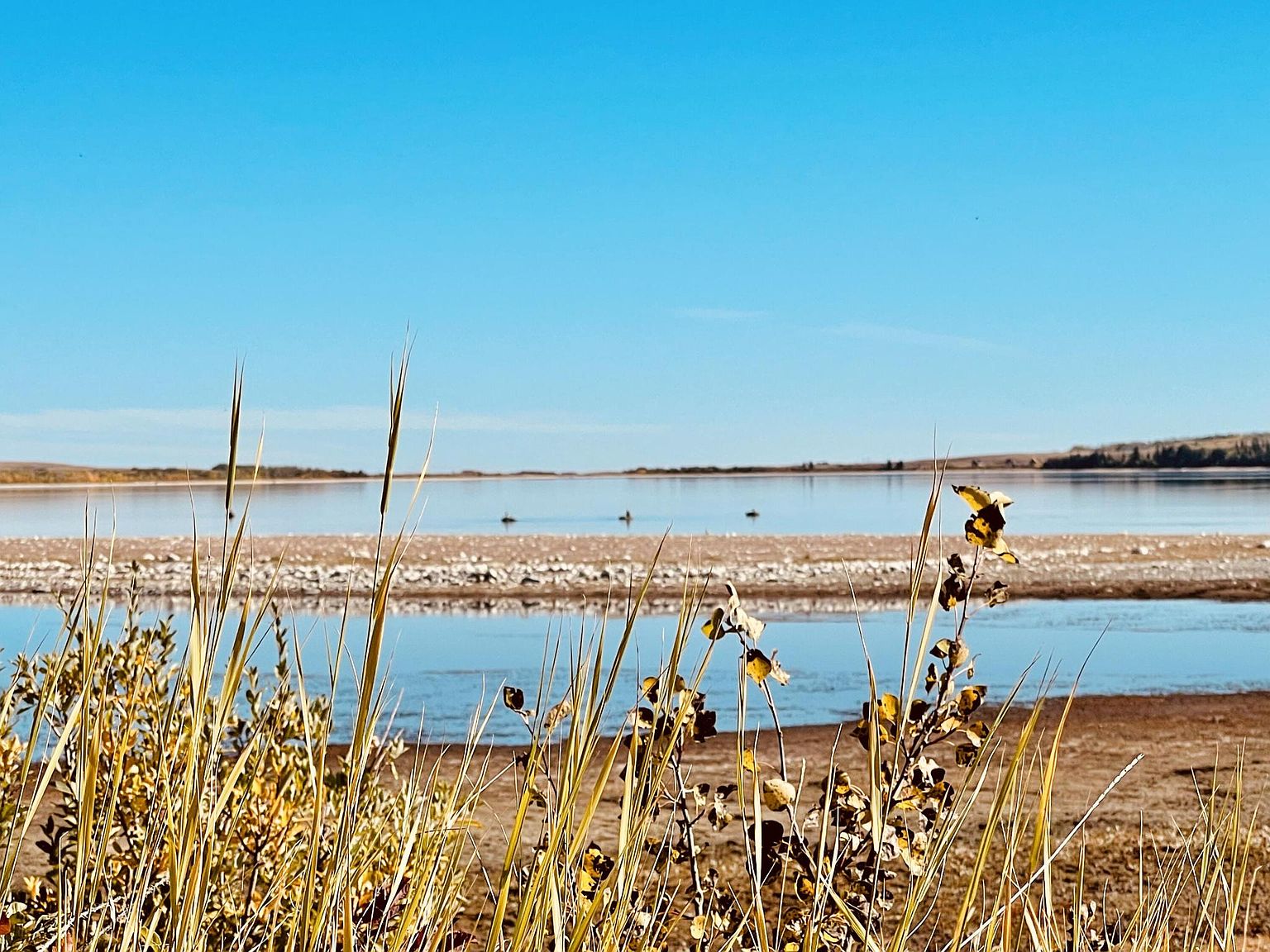 49 Duck Lake Rd, Babb, MT 59411 | MLS #22214201 | Zillow