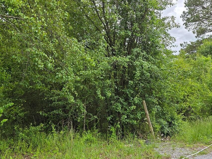 0 County Rd UNIT 101, Riceville, TN 37370 | MLS #1512445 | Zillow