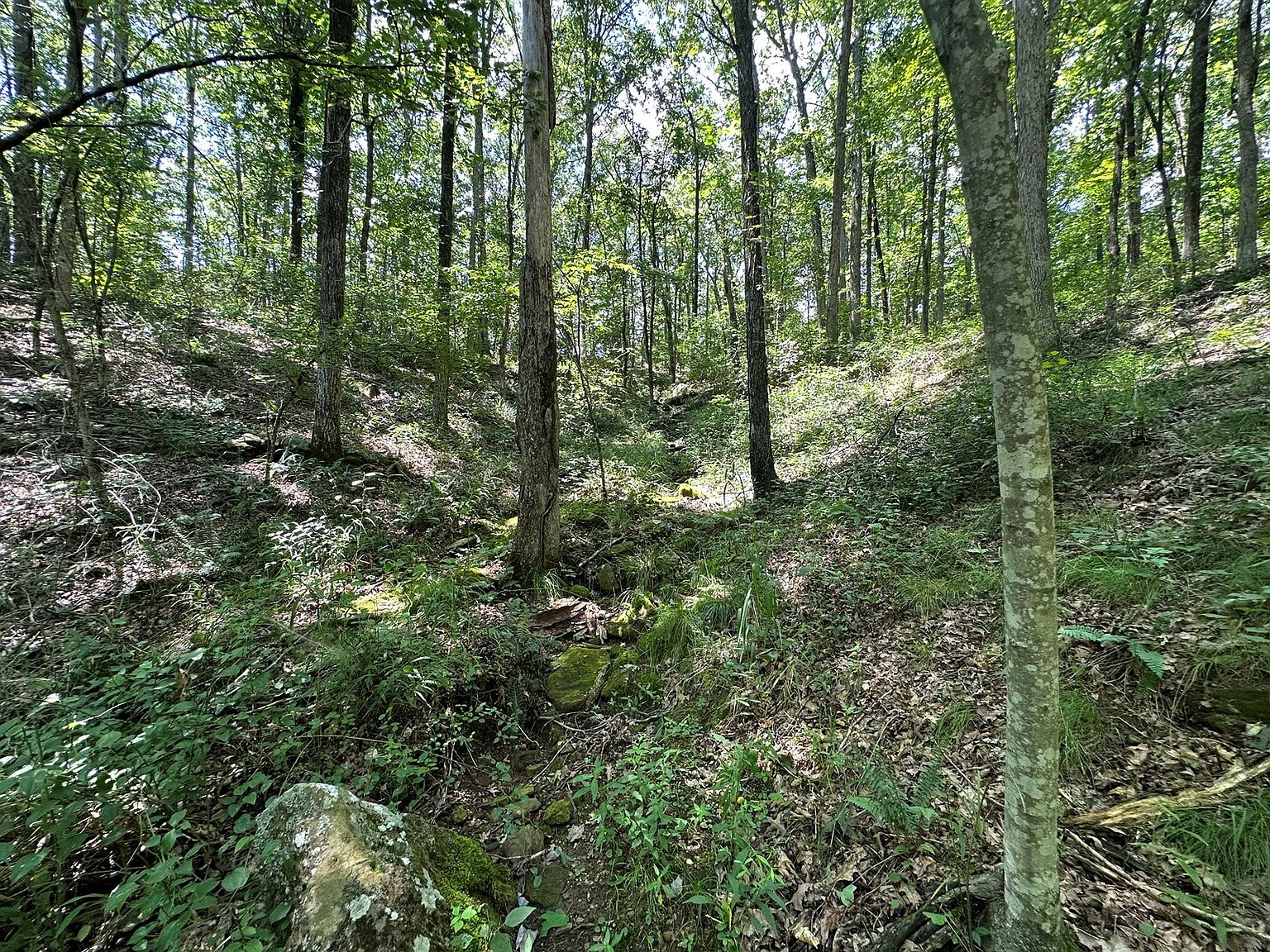 2819 Dodd Mountain Rd, Clinton, AR 72031 | Zillow
