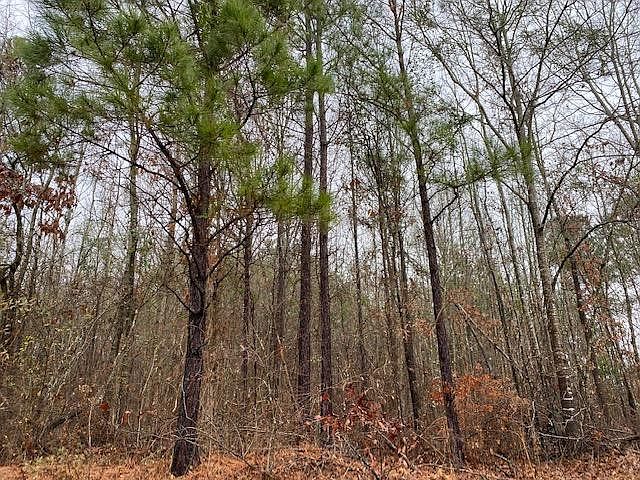 18 Hempstead, Blevins, AR 71825 | Zillow