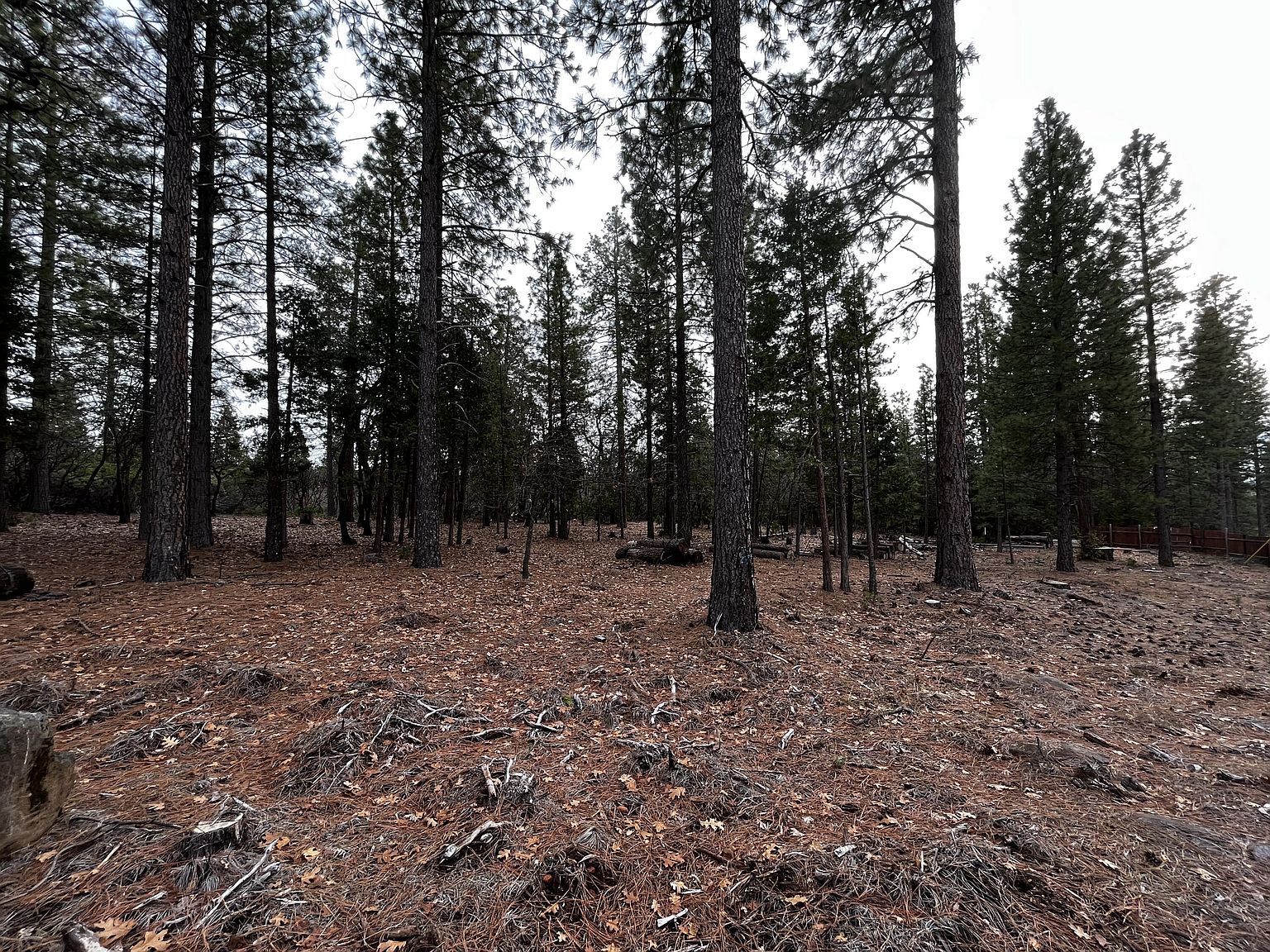 Whitmore Road W Power, Whitmore, CA 96096 | Zillow