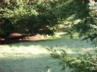 151 Spring Rd, Whitethorn, CA 95589 | Zillow