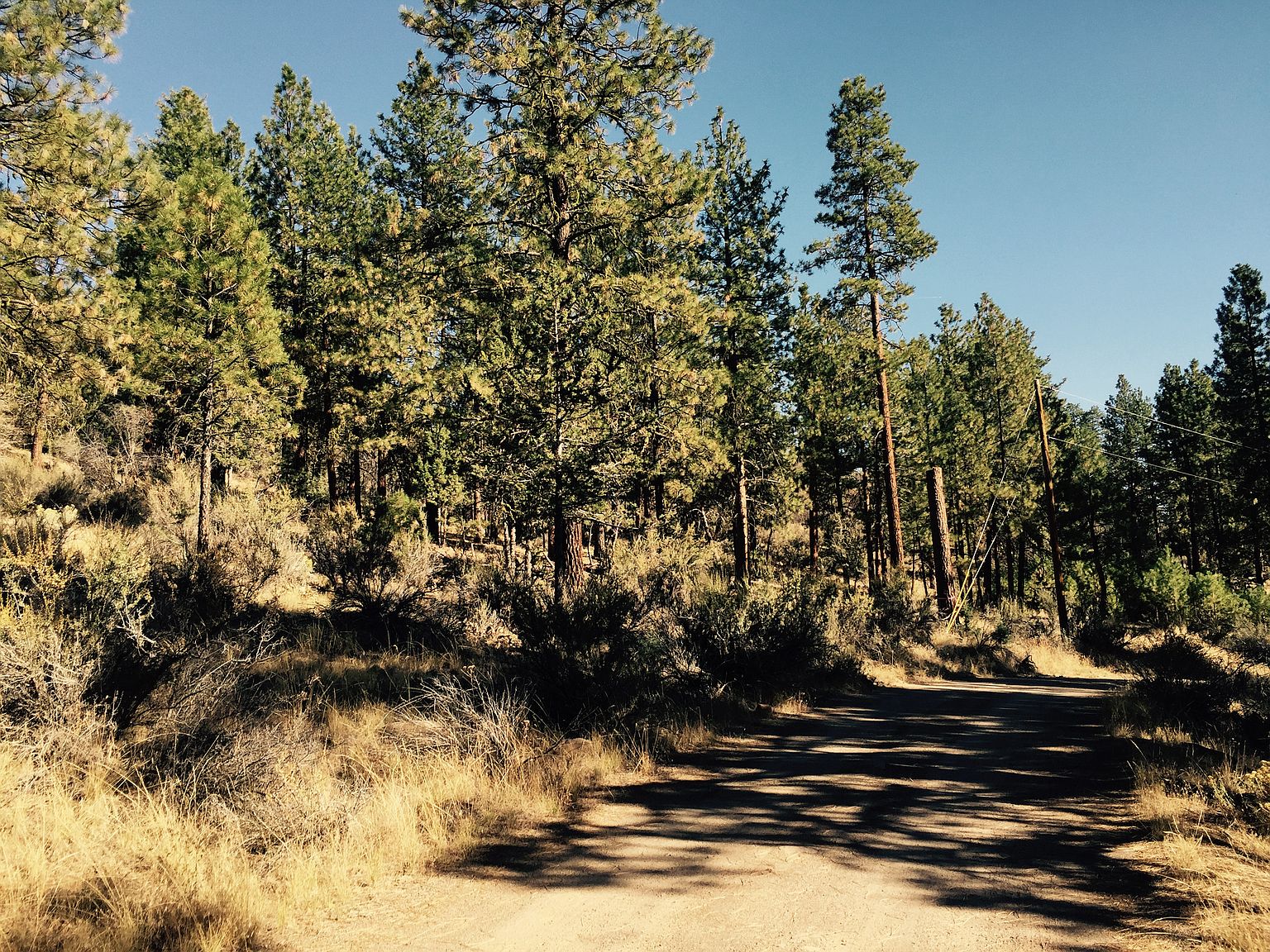 99-362 Poopaa Pl, Aiea, HI 96701 | Zillow