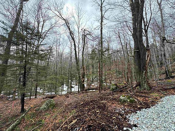 9 Cortina Country Road UNIT 9, Rutland, VT 05701 | MLS #4998655 | Zillow