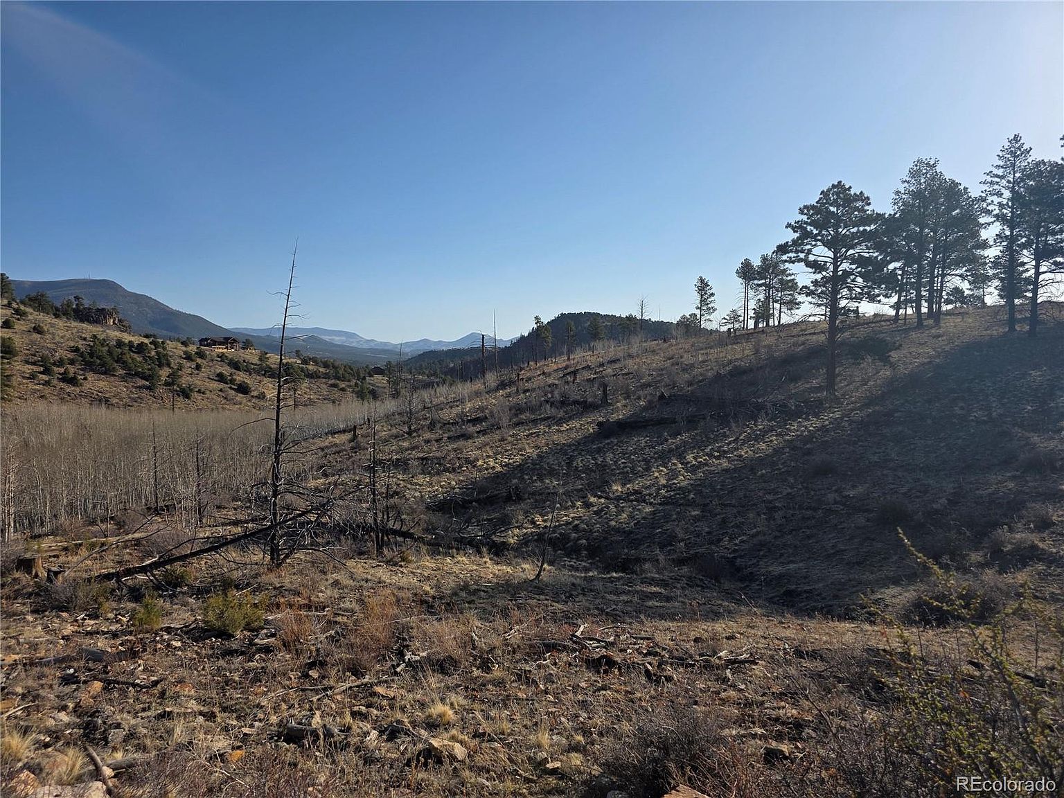 302 Rickel Circle Lot 24, South Fork, CO 81154 | MLS #8498300 | Zillow