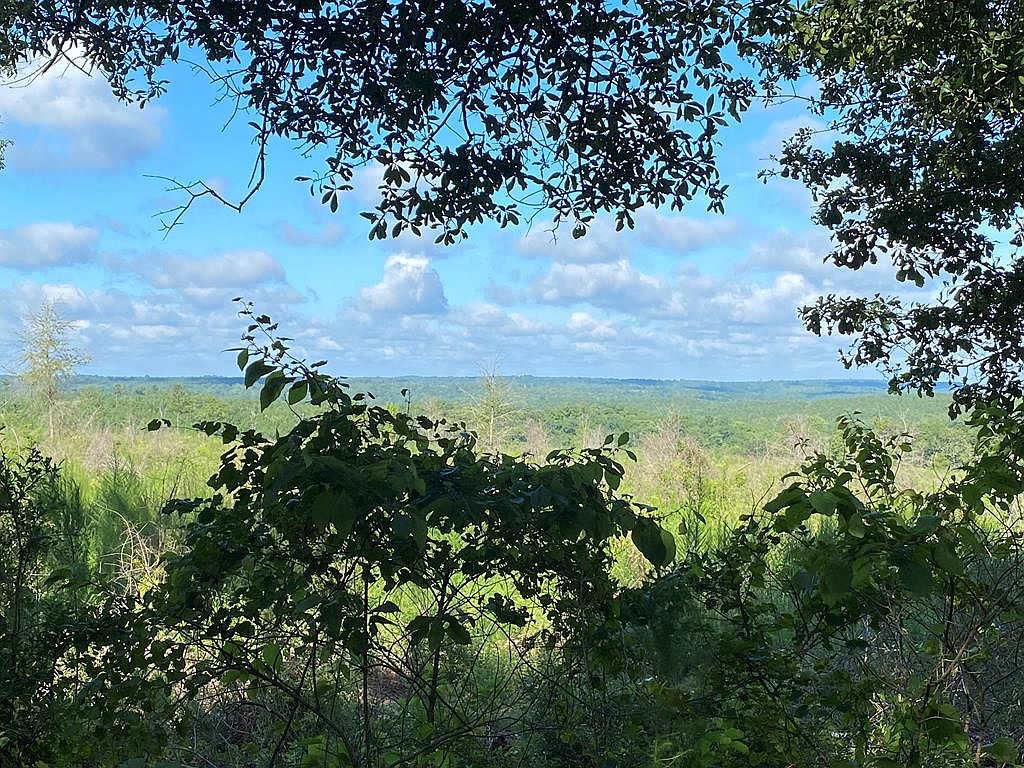 0 State Highway 520, Richland, GA 31825 | Zillow