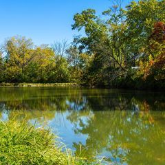 Heather Woods - Property Management in Springfield, IL | Zillow