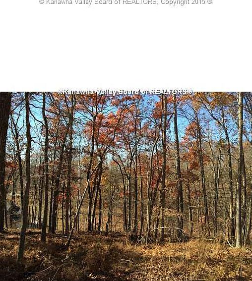 14 Stoney Creek Dr, Ripley, WV 25271 | Zillow