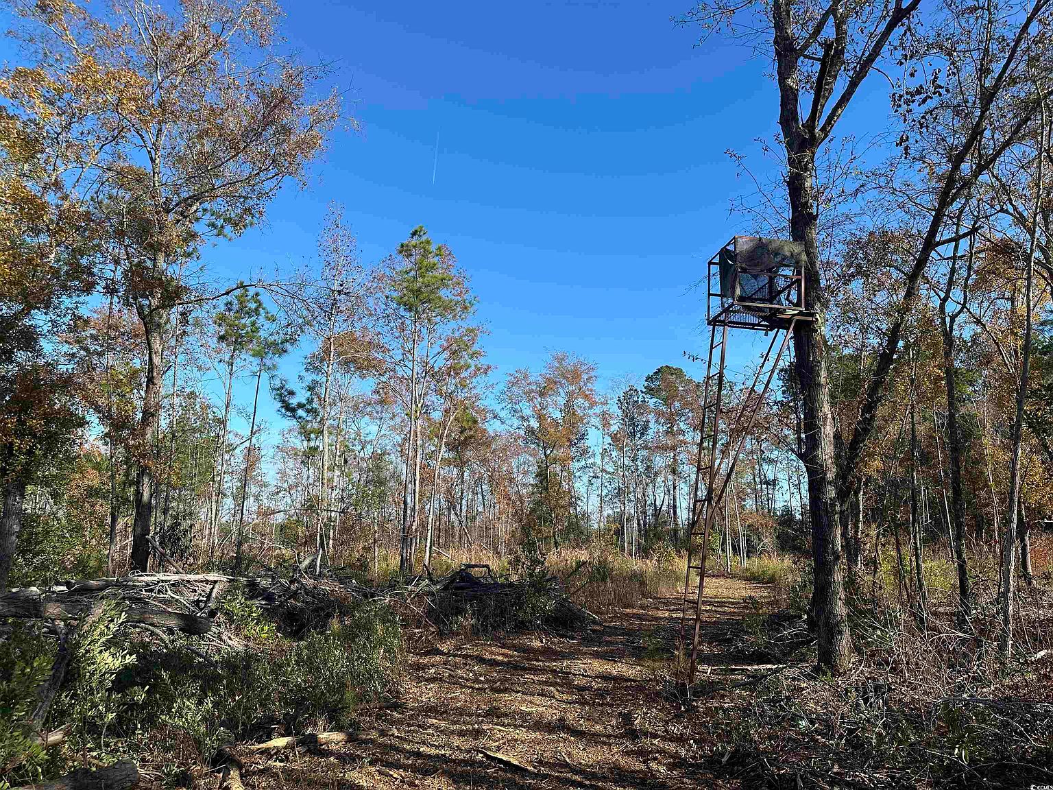 25+/- Acres TBD Corner Rd., New Zion, SC 29111 | Zillow
