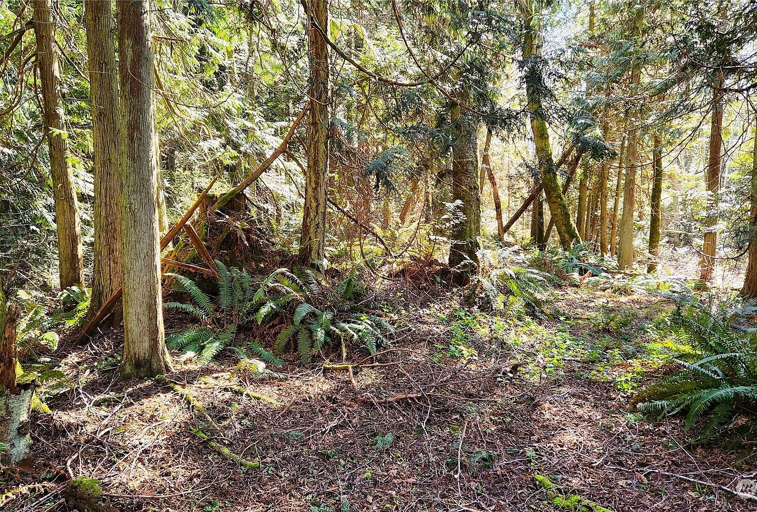 0 Lot 27 Skunk Bay Road NE, Hansville, WA 98340 | Zillow