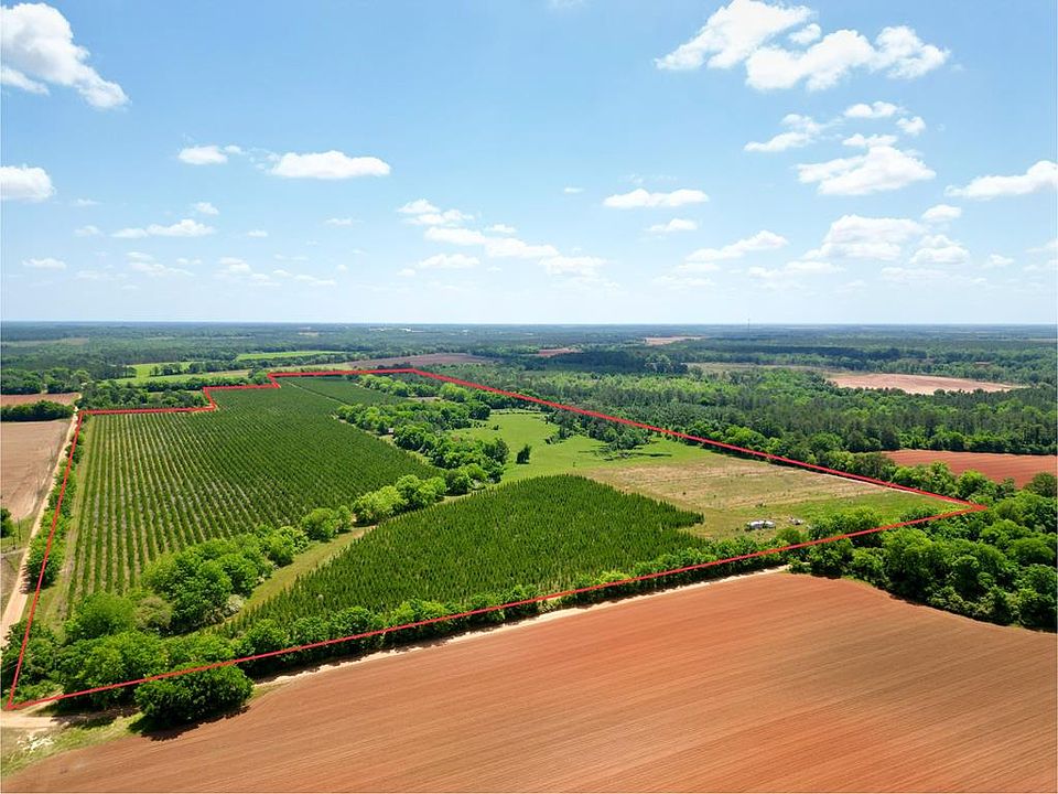 0 Mill Pond Rd, Coleman, GA 39836 | MLS #140204 | Zillow