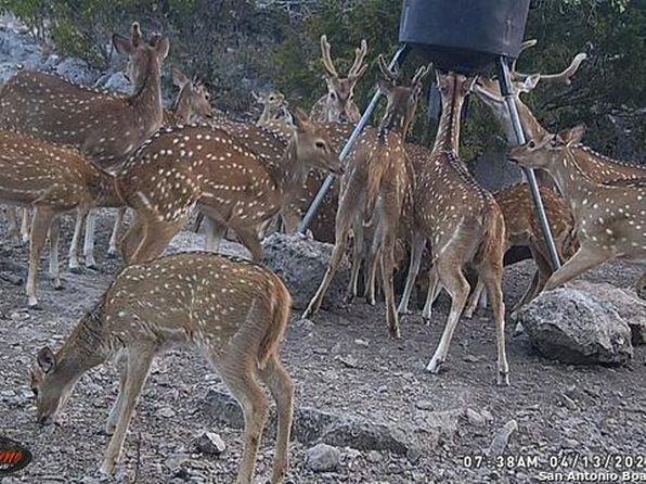 Rocksprings Real Estate Rocksprings Tx Homes For Sale Zillow