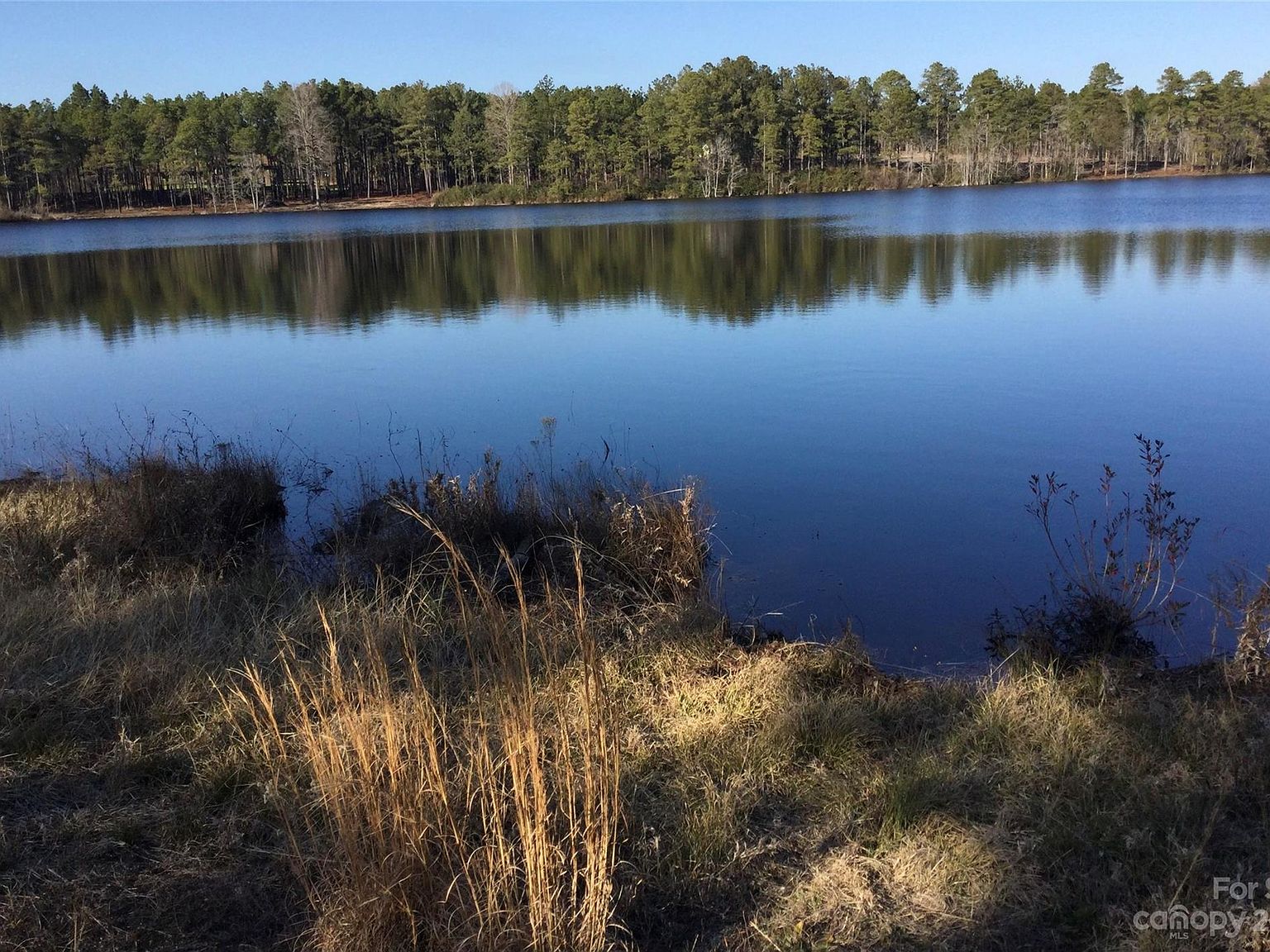 4 Lakeside Dr, Marston, NC 28363 | Zillow