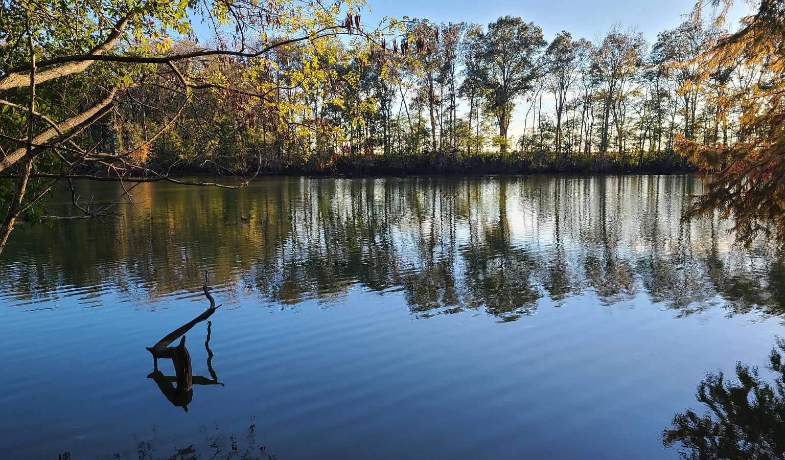 1310 Ld Knox Rd, Gilbert, LA 71336 | MLS #11389739 | Zillow