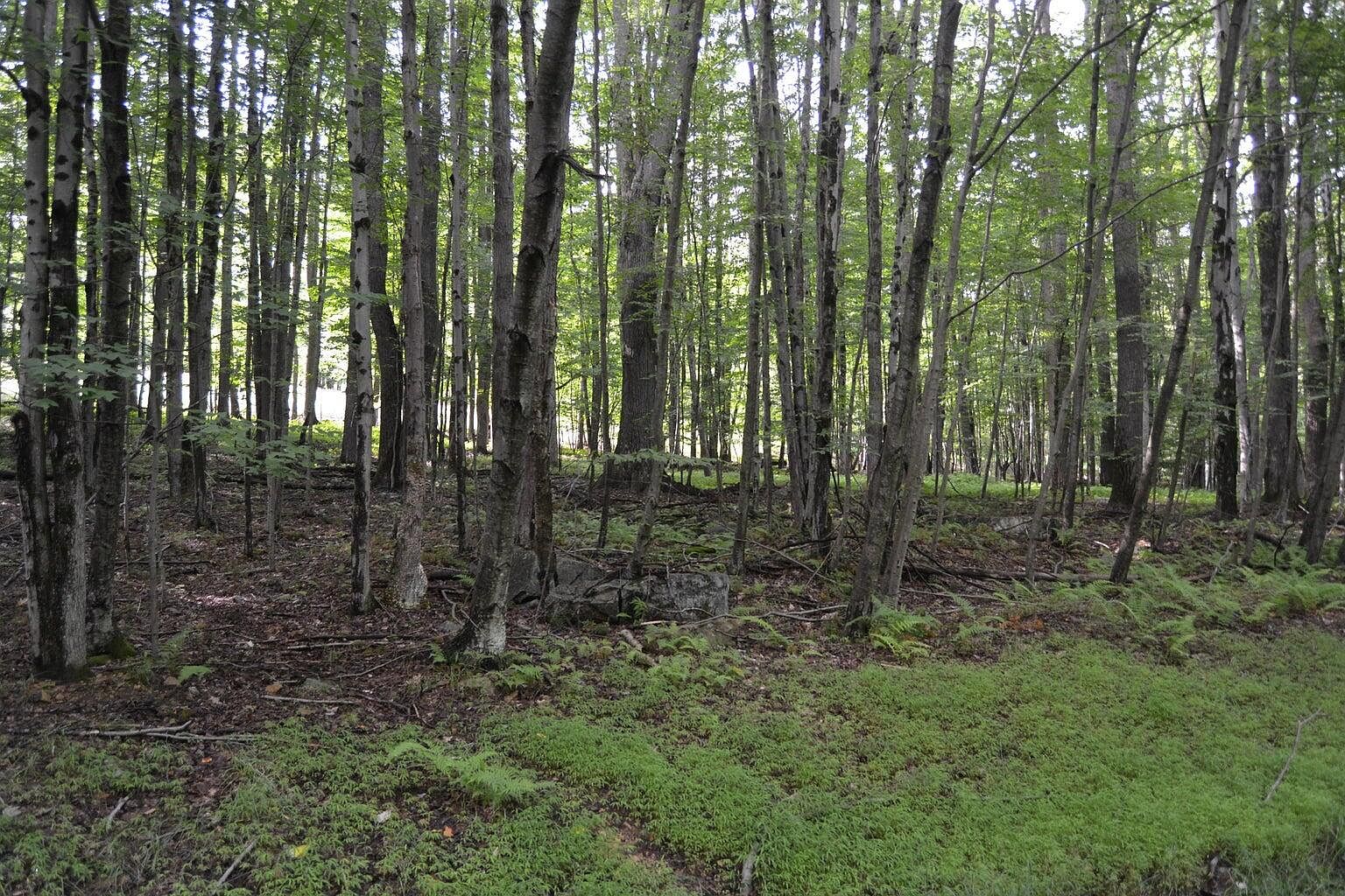 Codrington Rd LOT 579, Du Bois, PA 15801 | MLS #12-13292 | Zillow